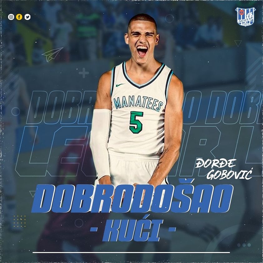 Gobović u Leotaru - BH Basket